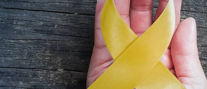 CAMS-care Training Clinicians in Evidence-Based Suicide Treatment